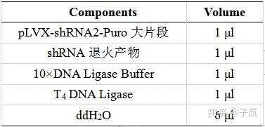 慢病毒包装详细操作过程 - 知乎