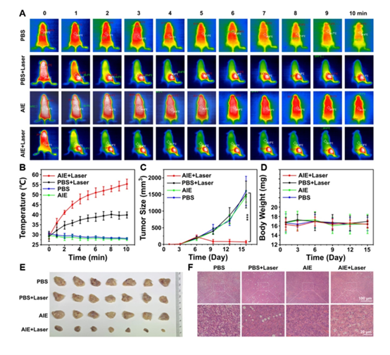 纳米探针 | 利用放射性标记AIE探针作为PET/NIR-II荧光引导光热治疗的双模成像剂 - 知乎