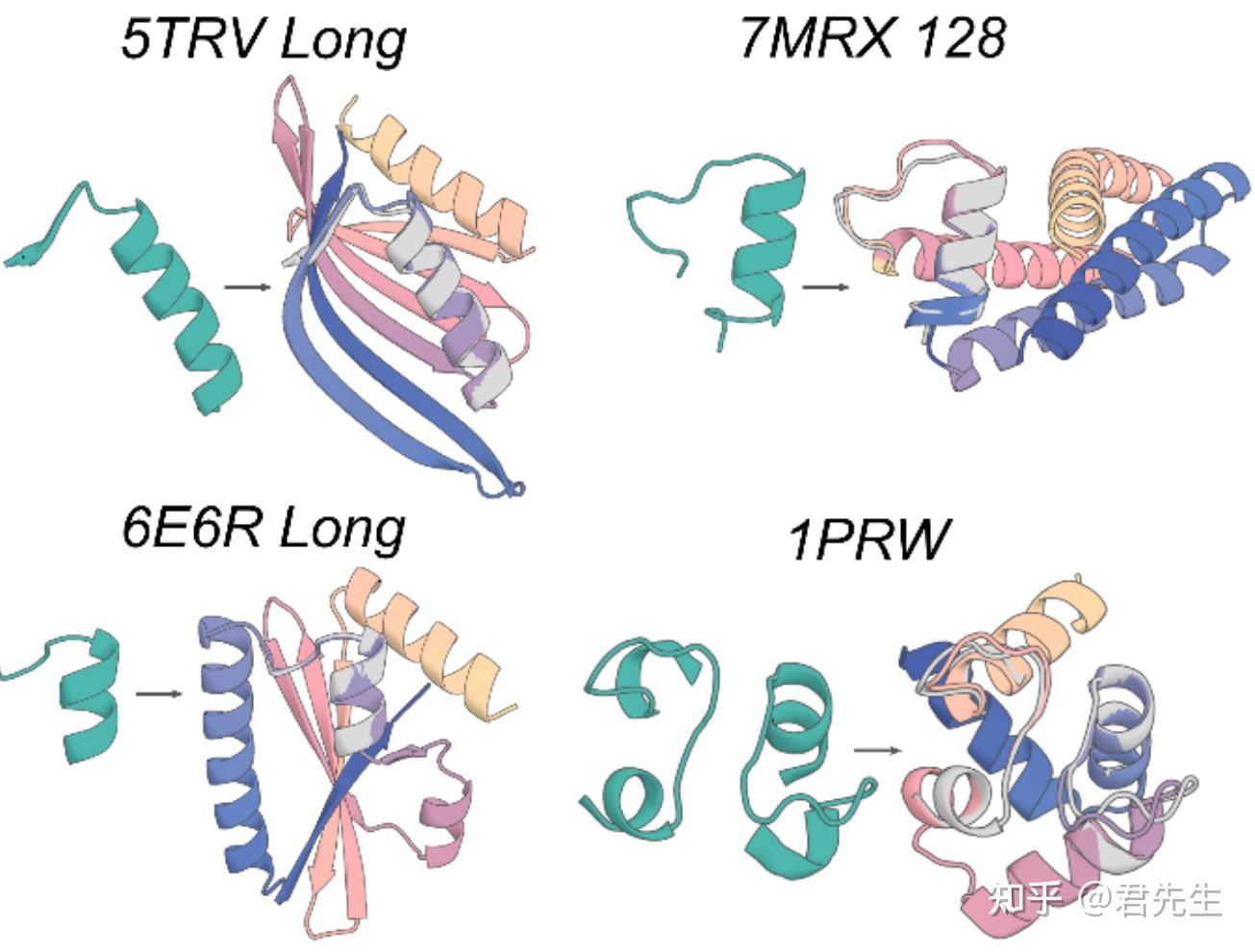 万字长文详细讲解蛋白质设计统一框架RFdiffusion - 知乎