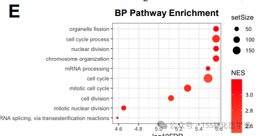 【Cancer Discovery】安进公布第二代 PRMT5 抑制剂(AMG193) 分子发现与药理数据 - 知乎