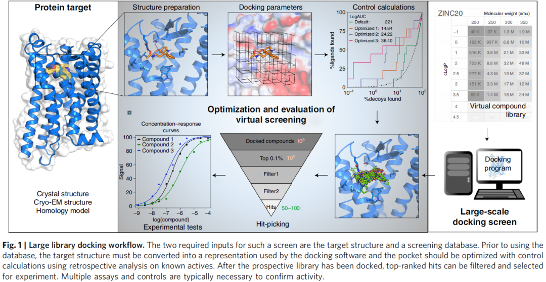 Nature Protocols | 大规模对接的实用指南 - 知乎