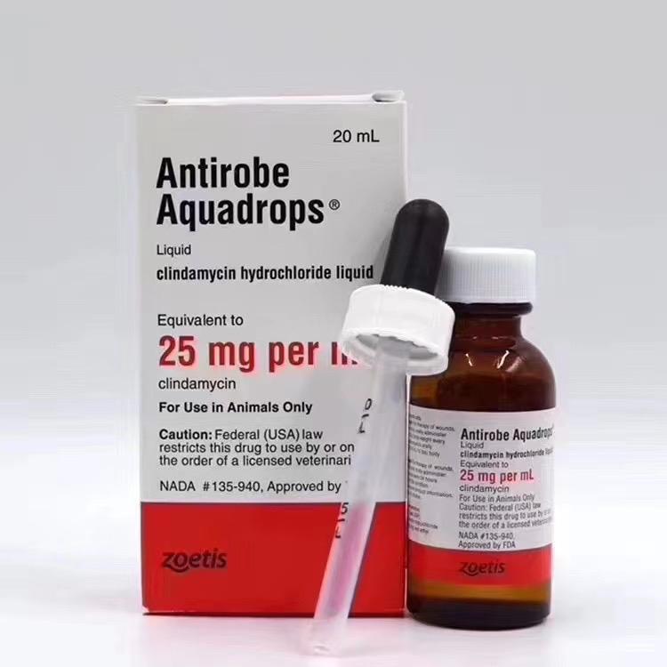 美国辉瑞Antirobe犬猫用安帝洛液猫狗口腔溃疡牙龈炎牙周炎牙结石 - 知乎