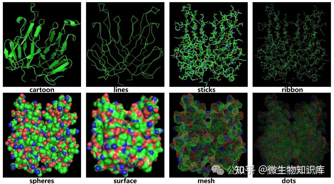 分子对接（六）：PyMol可视化分子对接结果详细教程 - 知乎