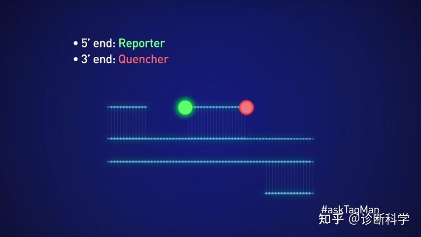 分子 | 了解Taqman检测，实时荧光PCR检测的基础原理 - 知乎