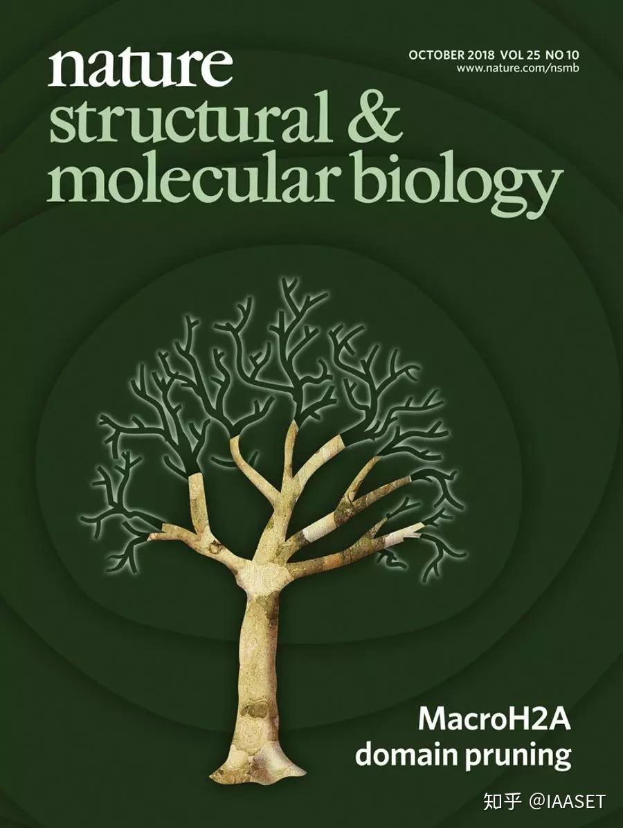 10月Nature子刊的45张封面，你pick哪一张？ - 知乎