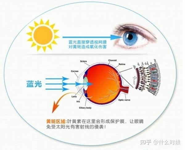 和inne一起探究:叶黄素护眼有帮助吗?inne帮助孩子无惧蓝光! 知乎