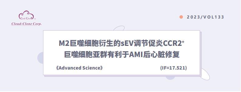 文献解读 | M2巨噬细胞衍生的sEV调节促炎CCR2+巨噬细胞亚群有利于AMI后心脏修复 - 知乎