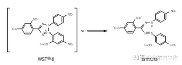 掌握这些常规细胞实验，高分文章稳了！ - 知乎
