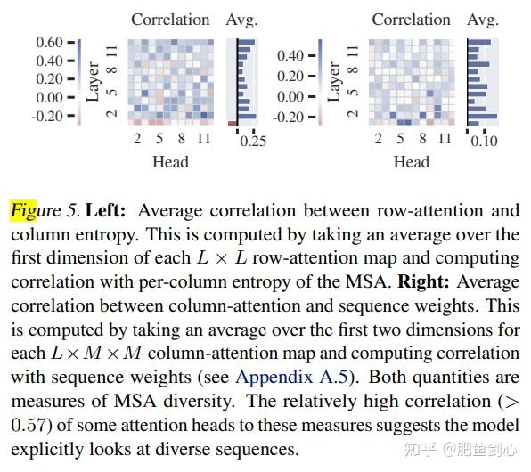 论文笔记44|MSA Transformer - 知乎