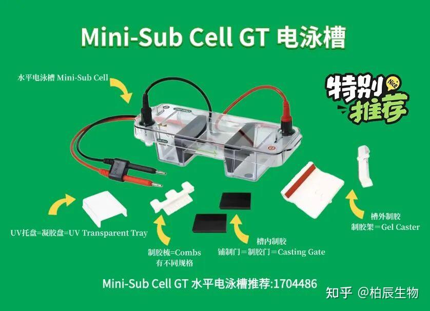 Bio-Rad水平电泳槽选择指南（一）：Mini-Sub Cell GT - 知乎