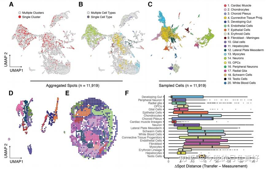 单细胞文章打卡97---Embryo-scale, single-cell spatial transcriptomics - 知乎