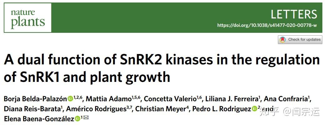 Nature Plants|葡萄牙研究者揭示SnRK2激酶在调控SnRK1 和植物生长中具有双重作用 - 知乎