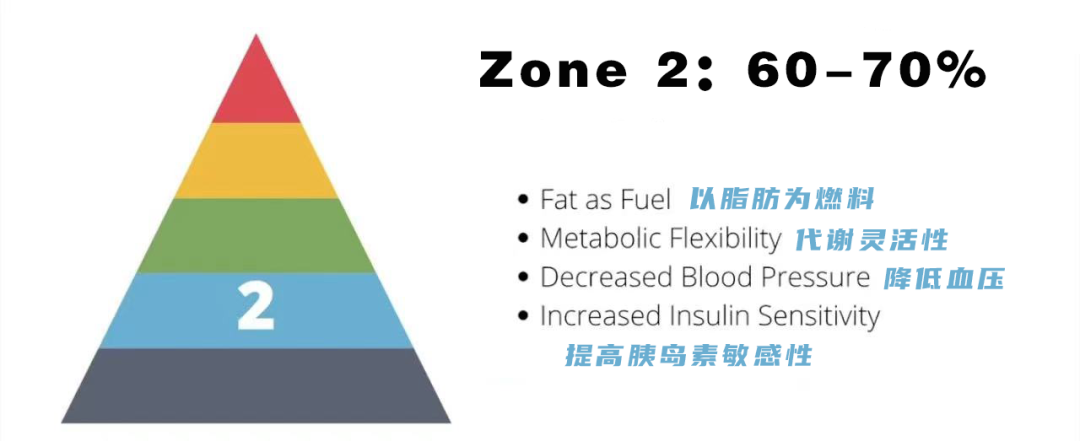 硬核干货 | HIIT vs ZONE 2 训练 - 知乎