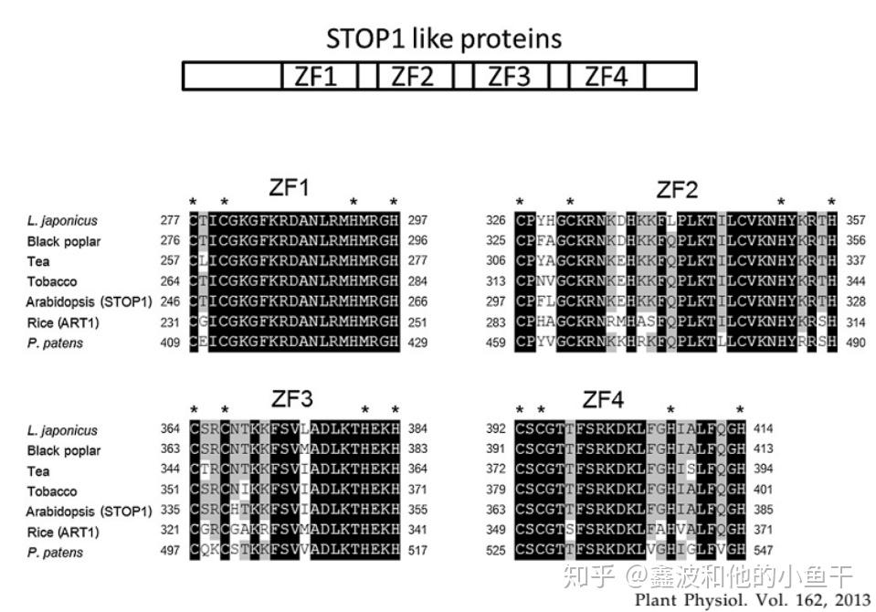 抗酸性土壤铝毒害的关键转录因子——STOP1 - 知乎