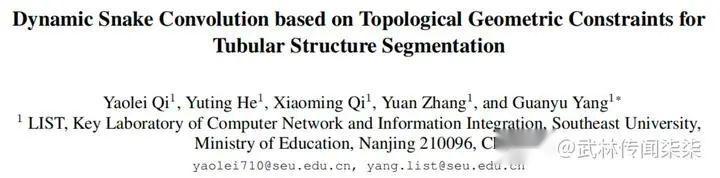 ICCV2023｜DSConv：用于管状结构分割的动态蛇形卷积 - 知乎