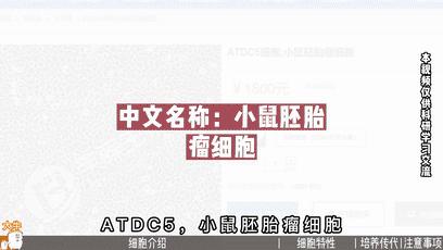 ATDC5细胞培养，小鼠胚胎瘤细胞培养攻略 - 丰晖生物 - 知乎