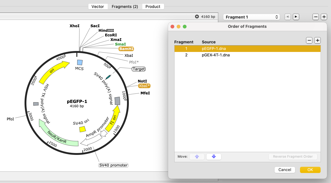SnapGene重磅更新 — SnapGene V6.0来啦！ - 知乎