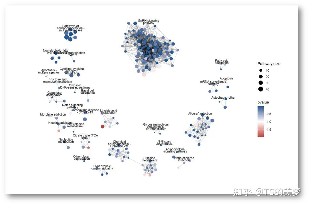 GO、KEGG（批量分组）分析及可视化 - 知乎