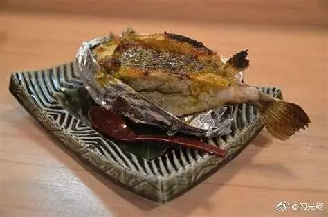 蒙特波卡：始新世的海洋之窗（4）——真鲈形系鲀形目（作者：达达） - 知乎