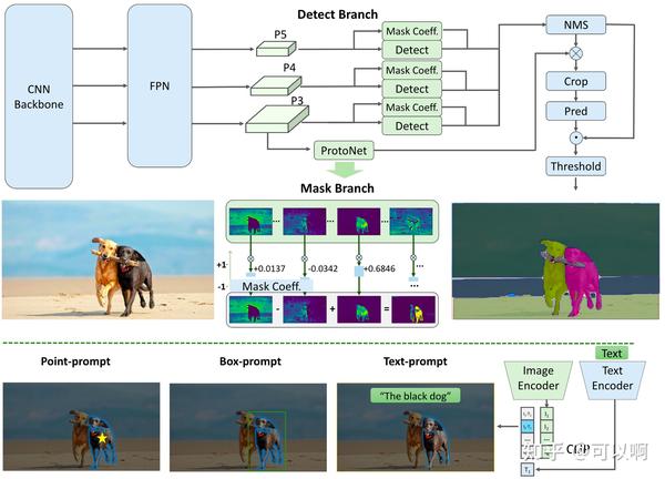 【SAM】SAM & Fast SAM & Mobile SAM - 知乎