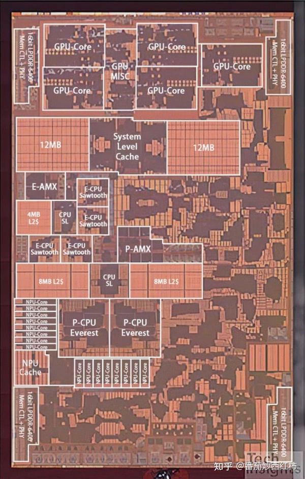 聊聊苹果 AMX 矩阵运算单元 - 知乎