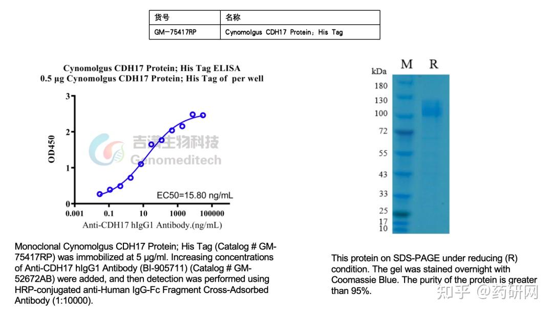CDH17 ——消化道肿瘤靶点新星 - 知乎