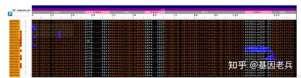 抗体序列分析神器/软件（药物研发） - 知乎