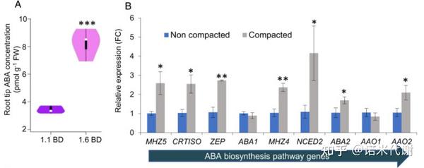 PNAS！植物研究高分文章好帮手——植物激素 - 知乎