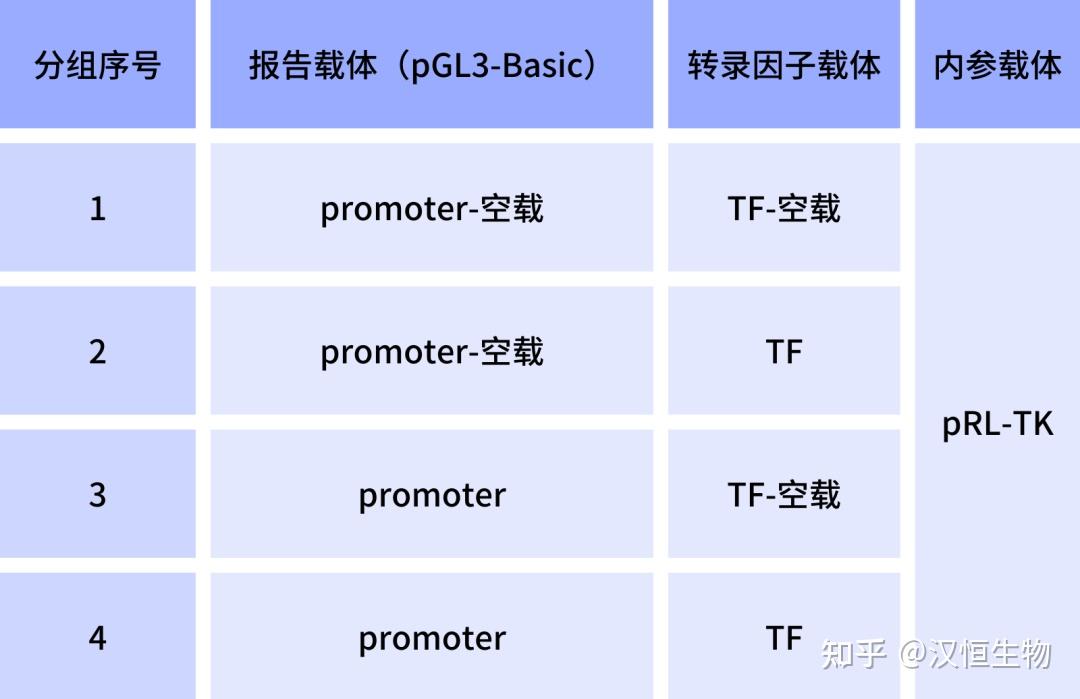 荧光素酶干货系列③ | 【应用篇】 转录因子与启动子互作验证 - 知乎