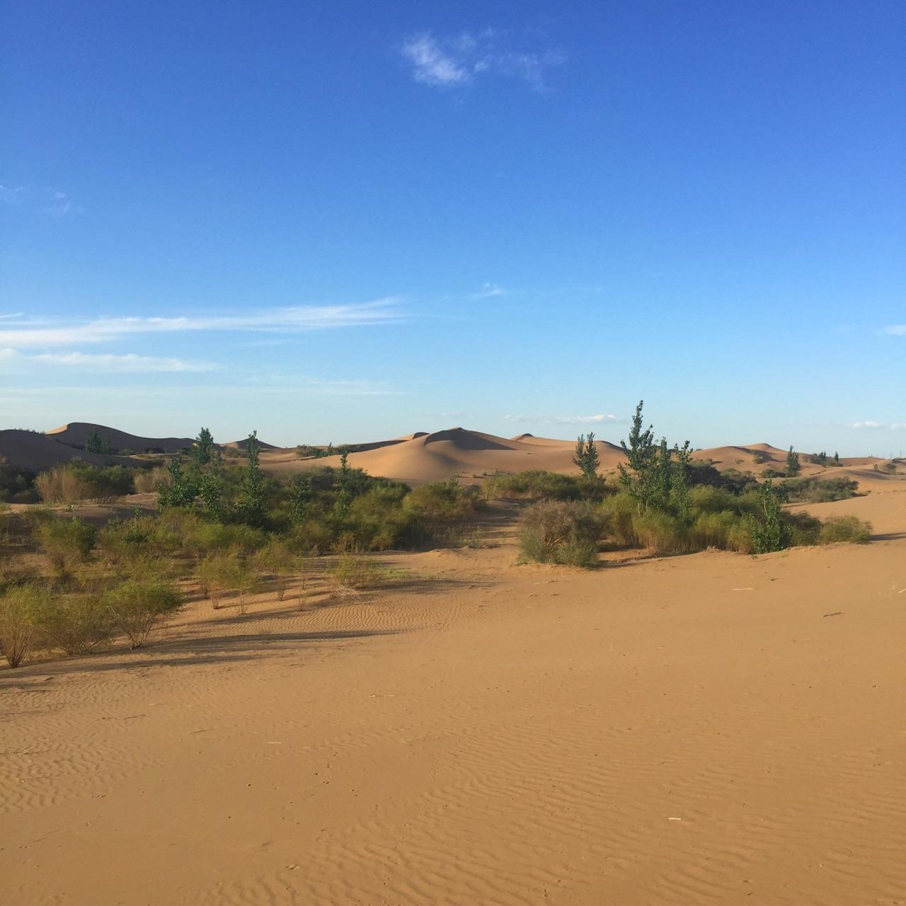 去鄂尔多斯旅游好玩吗？ - 知乎