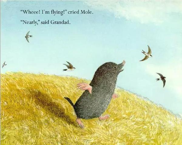 绘本故事 | Mole And The Baby Bird - 知乎