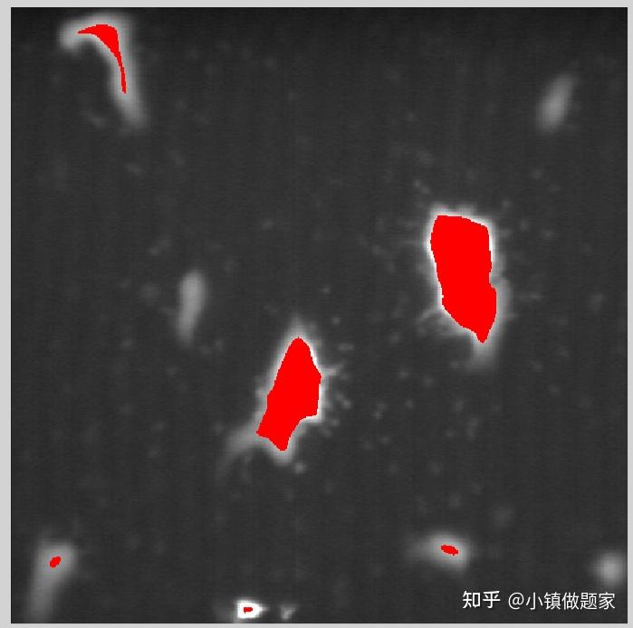 动手实现halcon中的rank_region()算法 - 知乎