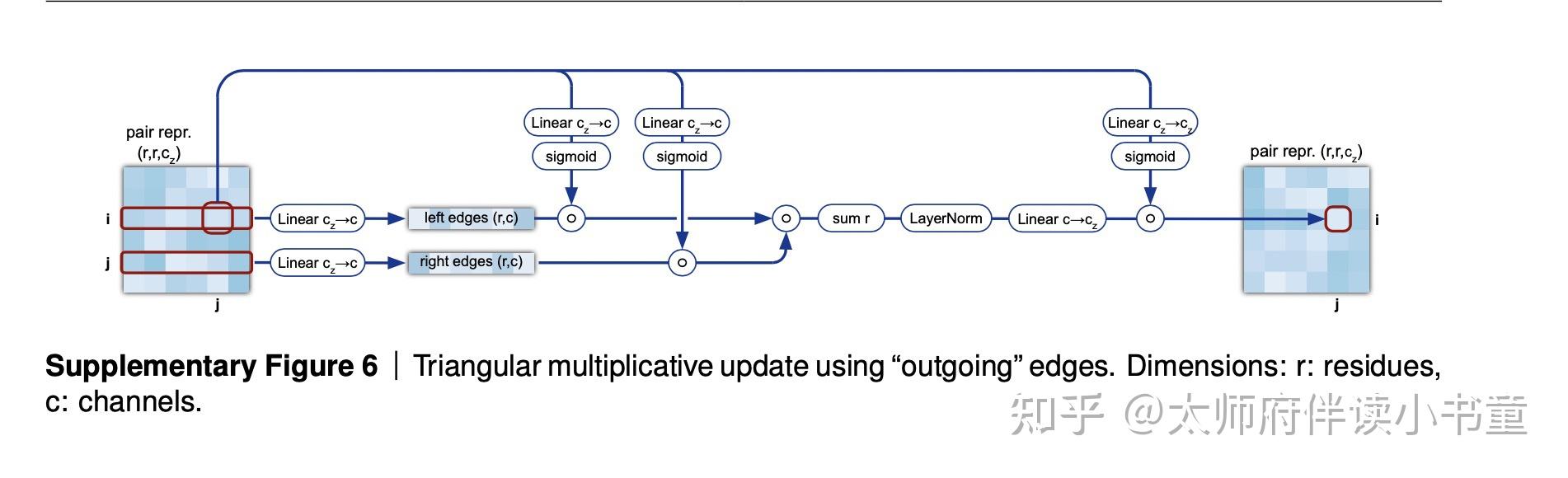 GoDeep系列（十）：AlphaFold 2模型结构拆解（框架） - 知乎