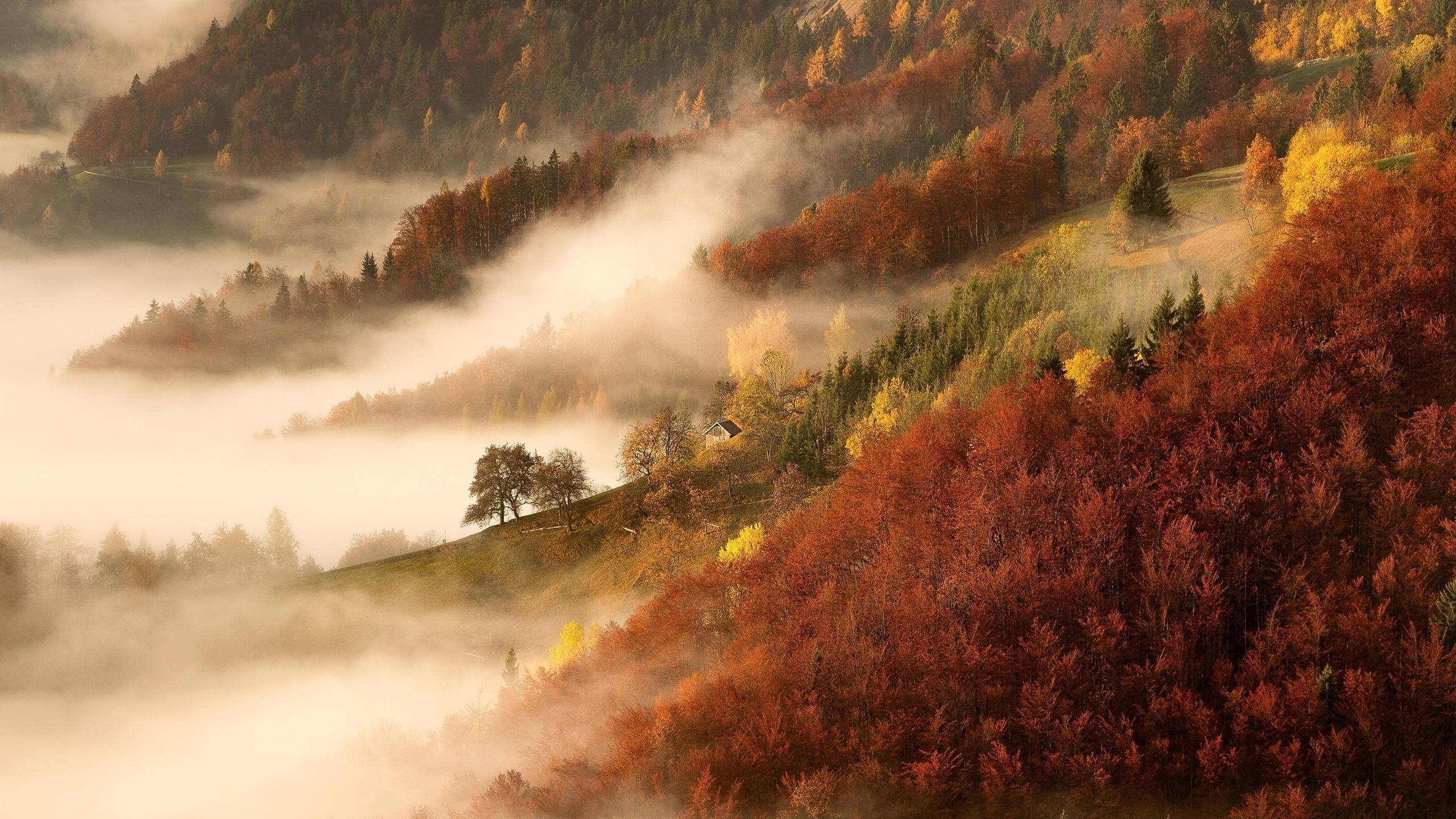 分享一些珍藏多年的高清4K壁纸 - 知乎