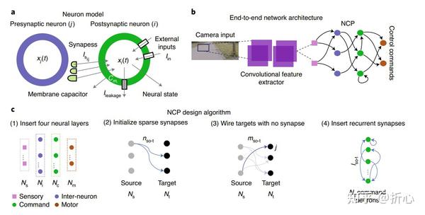 一些文章: Neural circuit policies enabling auditable autonomy - 知乎