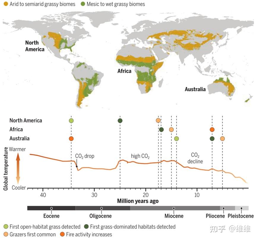 重磅！5篇Science文章同时阐述被忽视的草学研究, 草学研究迎来的最好时代/BIOMOD2模型的物种分布 - 知乎