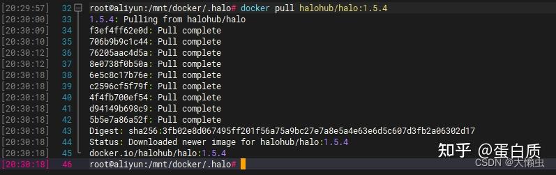 🌈如何使用Docker搭建Halo博客平台，超简单的操作，小白也会 - 知乎