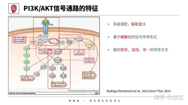 1条就是1篇SCI！带你研究12条信号通路，NF-κB、MAPK、AKT、PI3K…… - 知乎