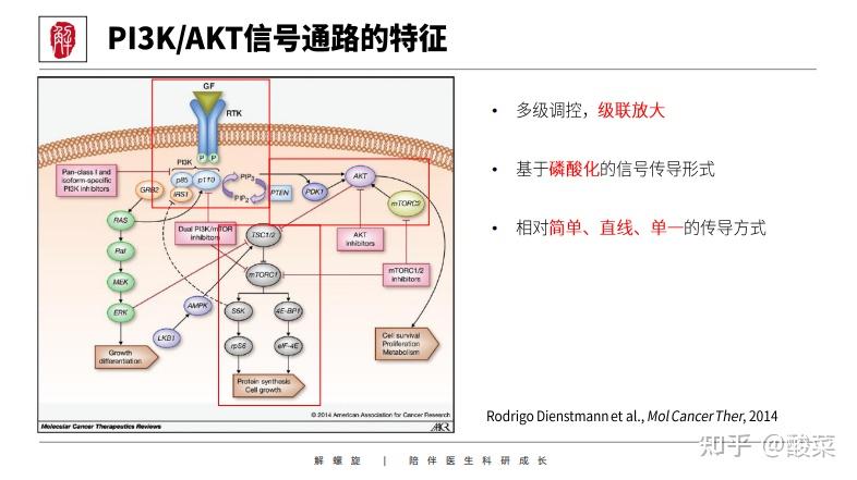 1条就是1篇SCI！带你研究12条信号通路，NF-κB、MAPK、AKT、PI3K…… - 知乎
