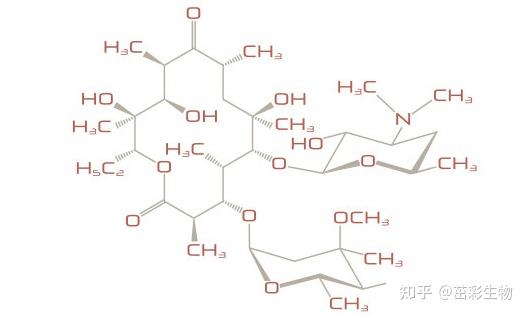 鸟氨酸脱羧酶（ODC） - 知乎