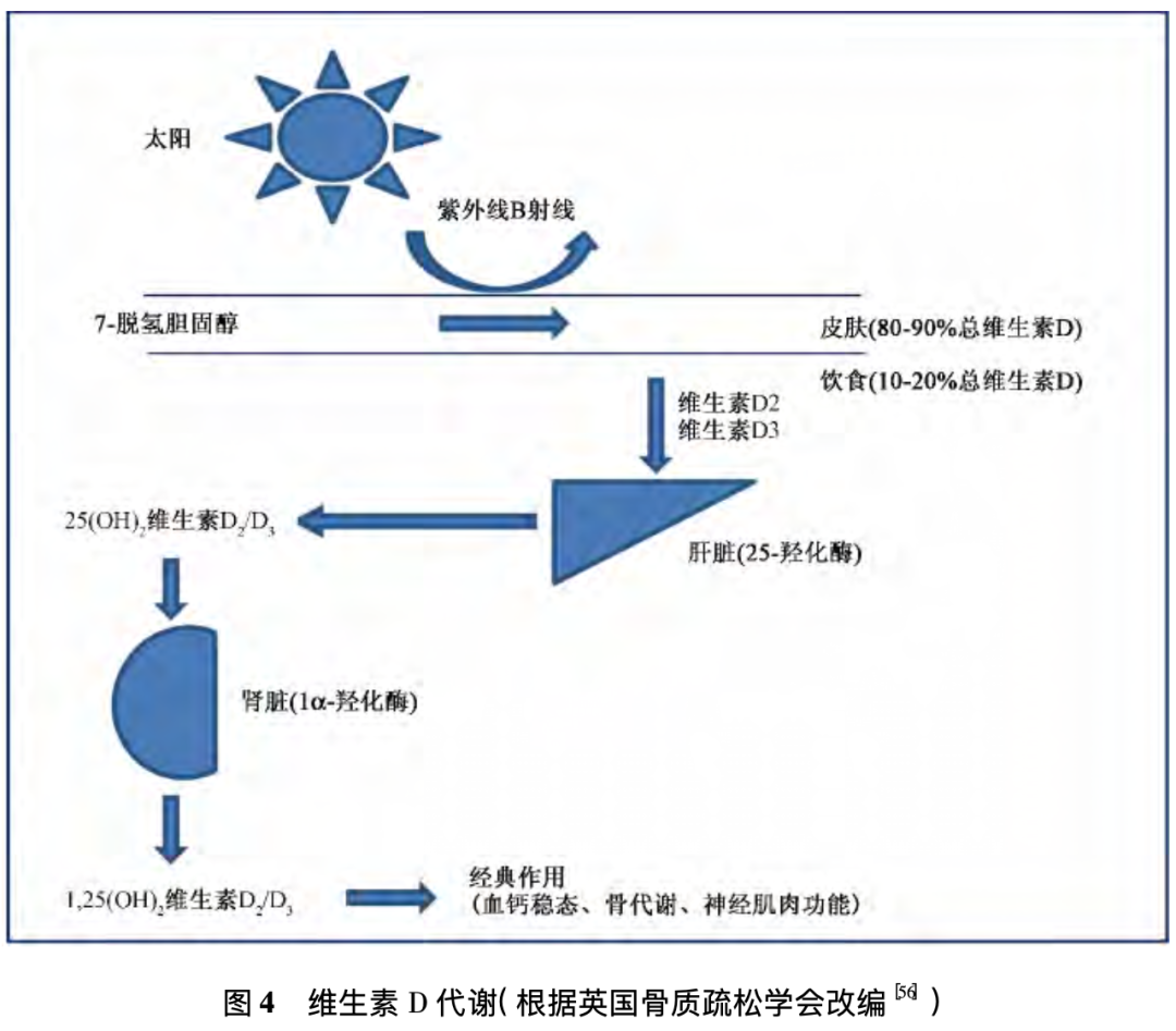一半国人维生素D都不够！3个办法高效补 - 知乎