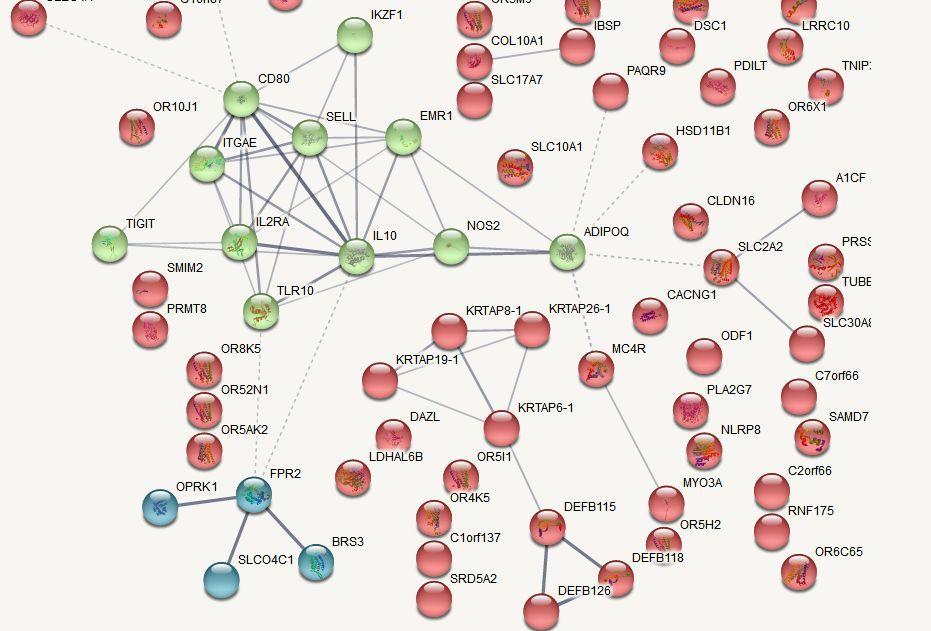 STRING网站+Cytoscape软件制作精美蛋白互作网络图(PPI) - 知乎
