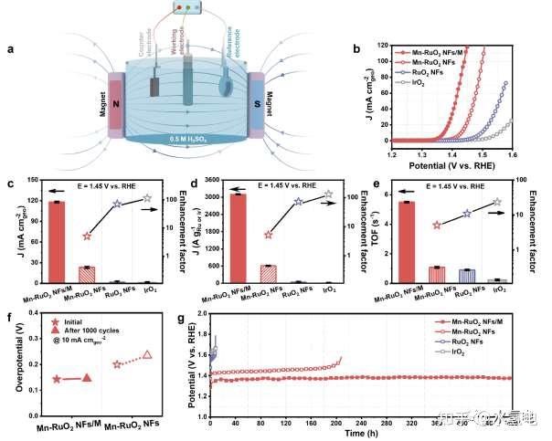 厦大&苏大AM：自旋极化增强酸性OER - 知乎