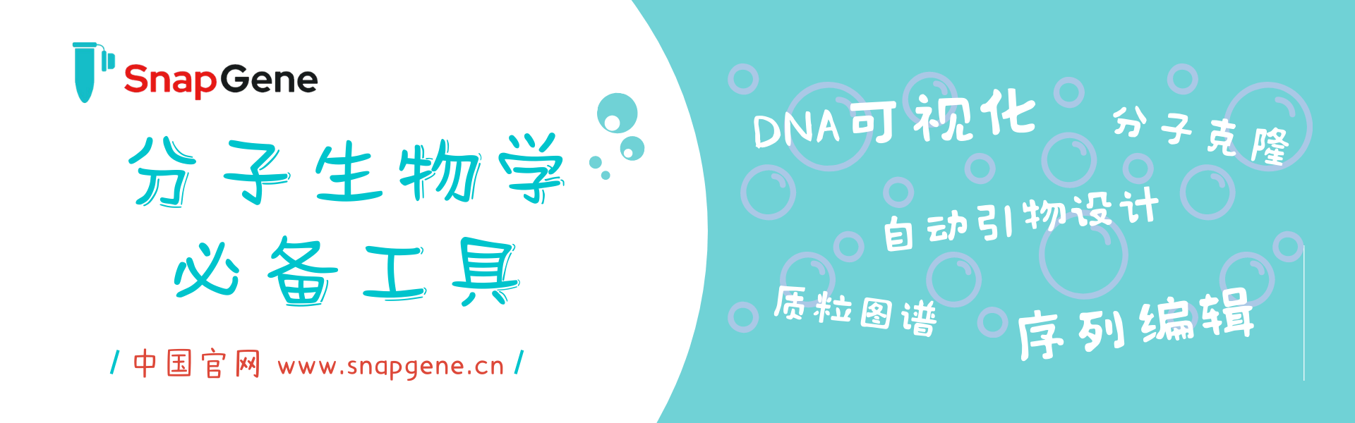 SnapGene操作指南 | 反向PCR - 知乎