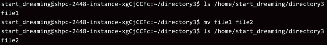 Linux基础1001问 | 2. Linux系统中的目录和文件 - 知乎