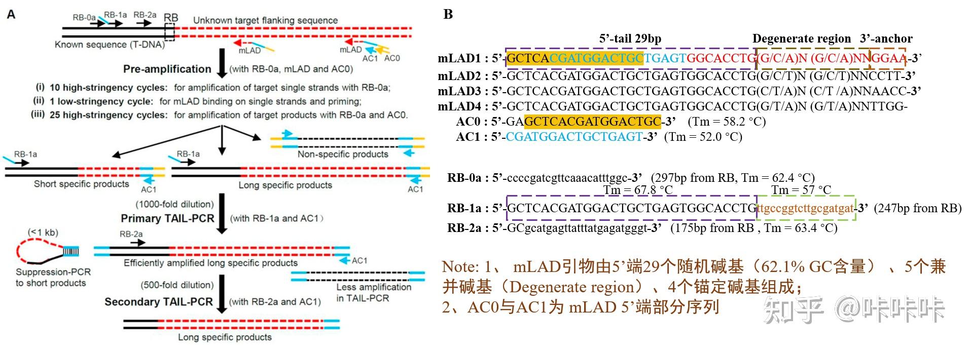 技术分享- 扩增未知侧翼序列：mhiTAIL-PCR - 知乎