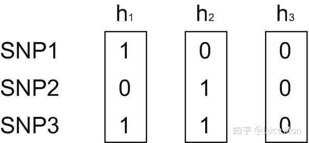 基于RAINBOW的单倍型全基因组关联分析（haplotype-based GWAS）教程 - 知乎
