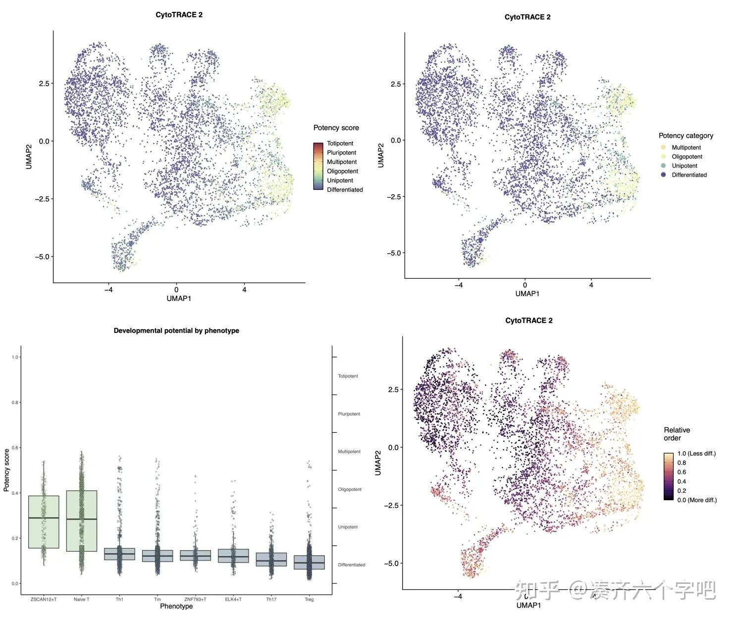 单细胞实战之CytoTRACE2和monocle3——入门到进阶(高级篇2） - 知乎