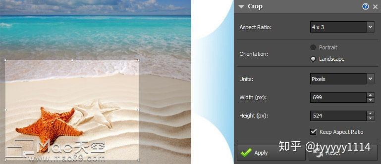 NCH PhotoPad Pro for Mac(轻量级照片编辑软件) - 知乎