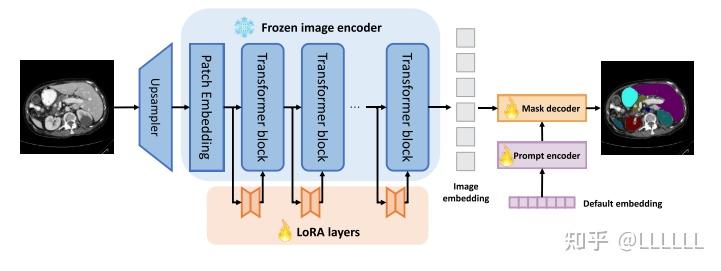 SAMed:Customized Segment Anything Model for Medical Image Segmentation - 知乎